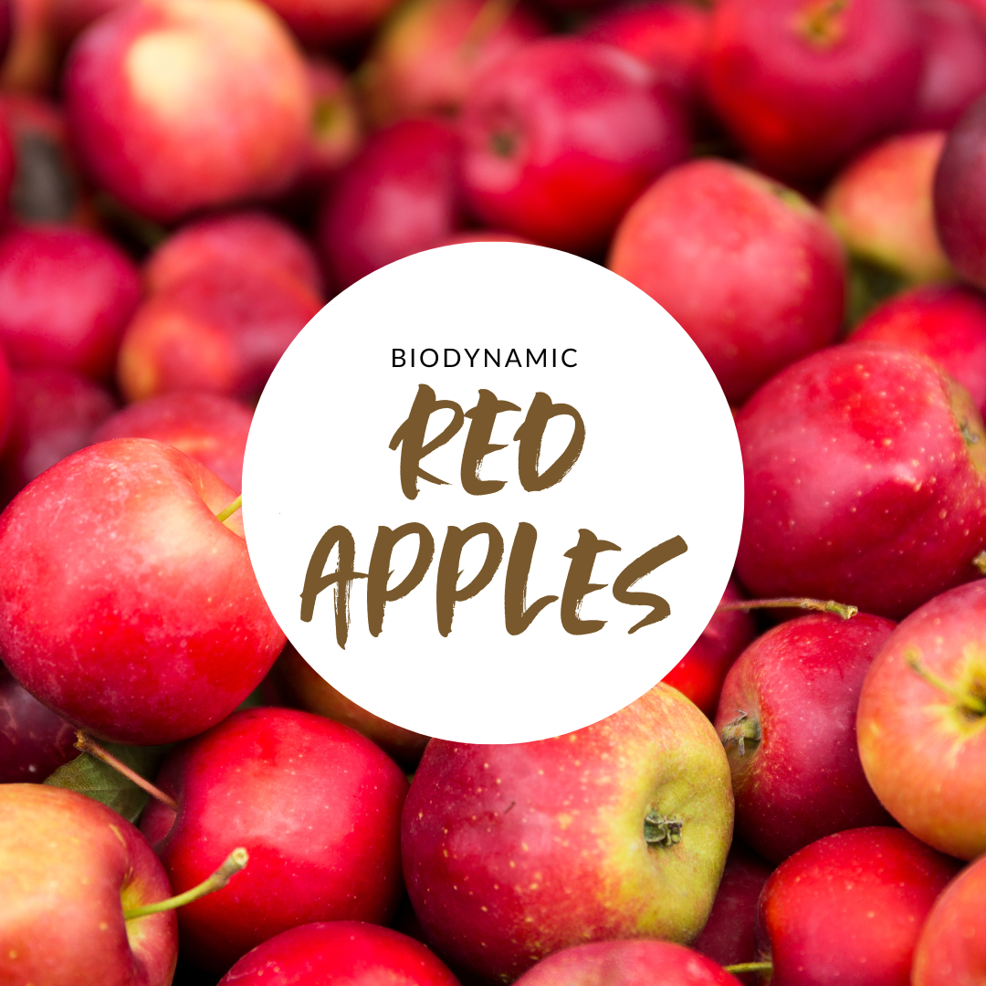 Apples Red - Good Harvest – Noosa Farmers Market