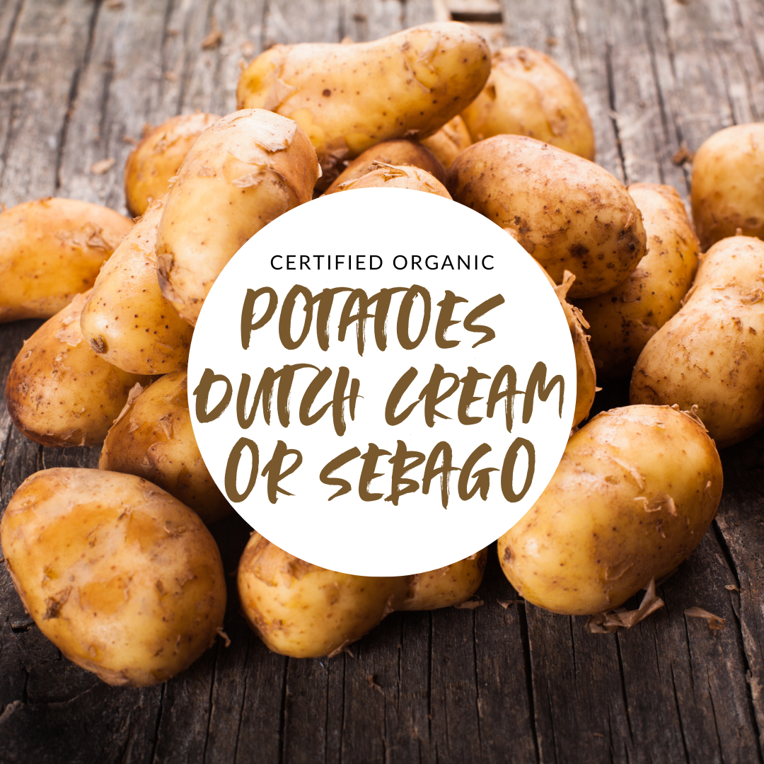 Potatoes 500g/ 1kg - Good Harvest – Noosa Farmers Market